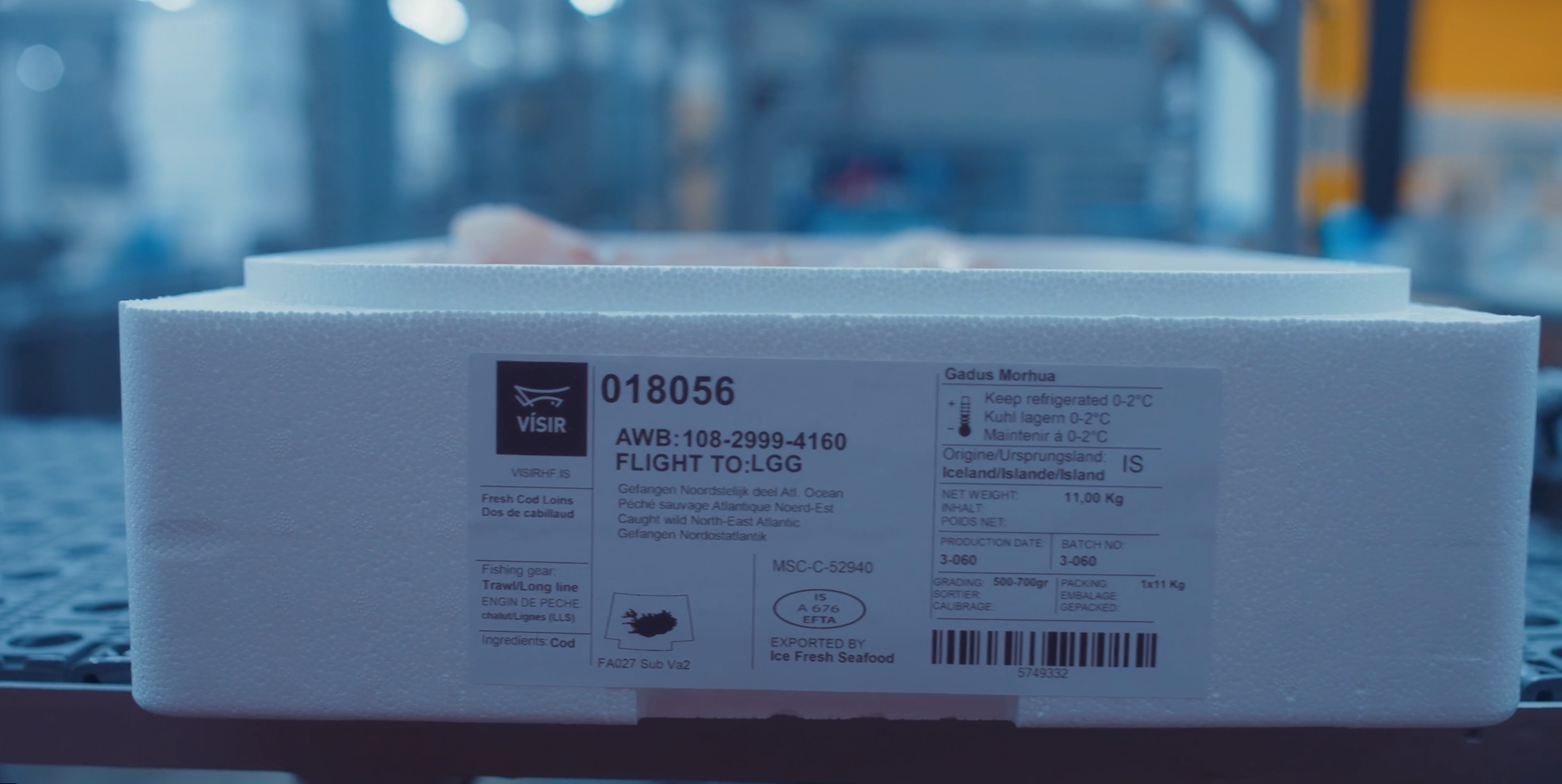 Introducing Wisefish Label Printing